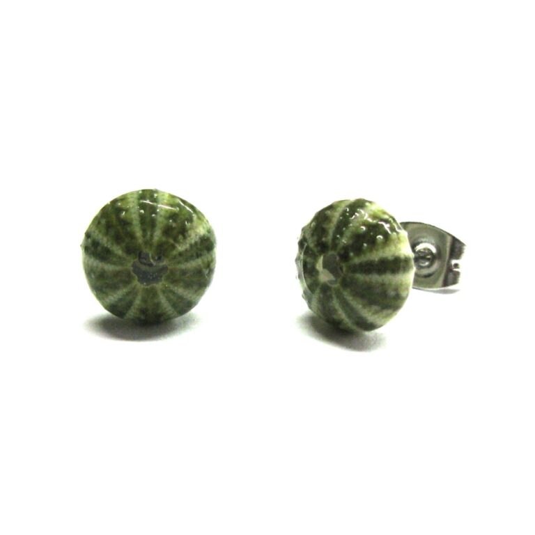 Sea Urchin / Kina Shell Studs - Rambling Rose